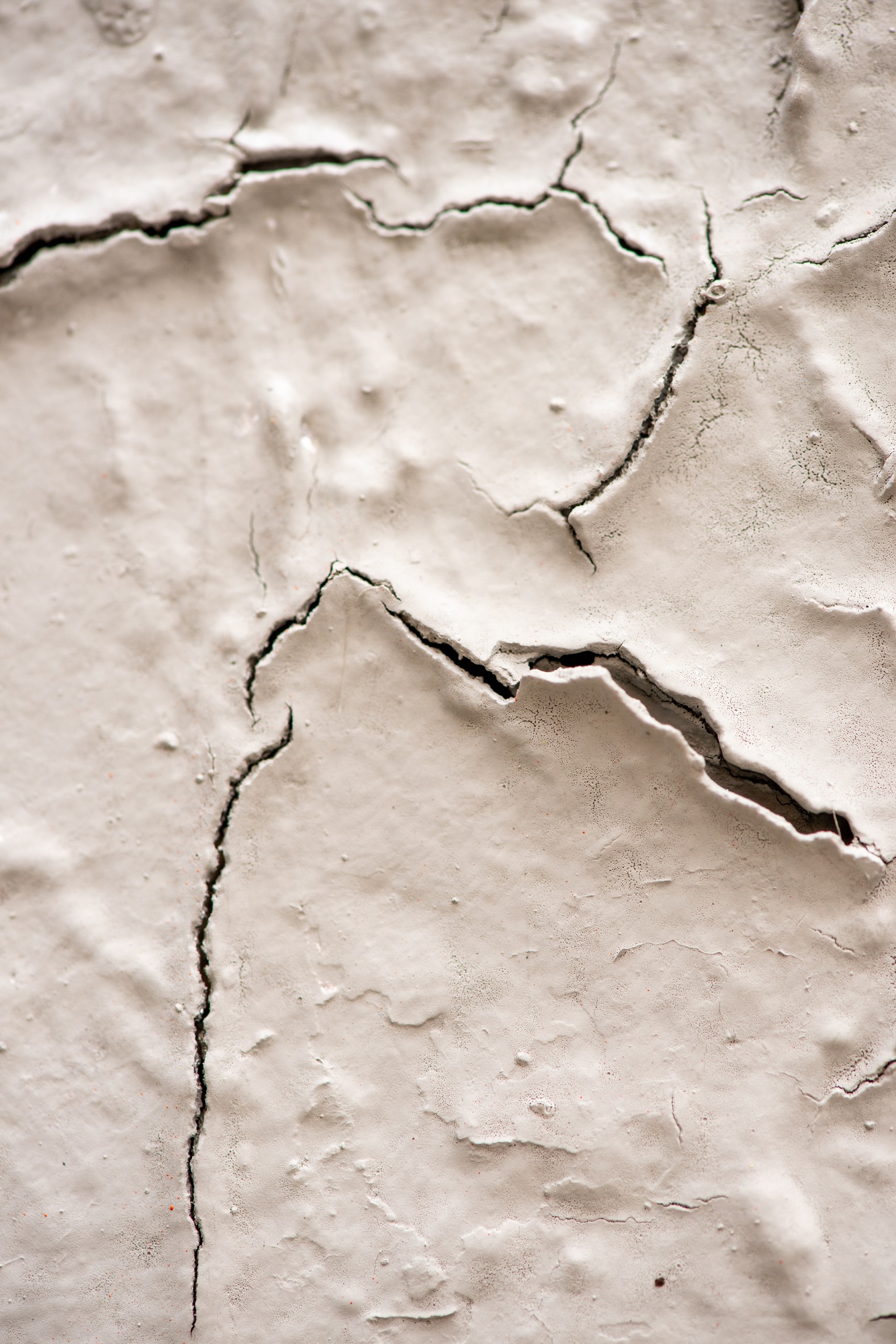 Crack in Your Wall: How to Identify Insane Problematic Cracks